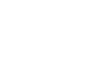 Customized Insurance Solutions | Lockton Affinity