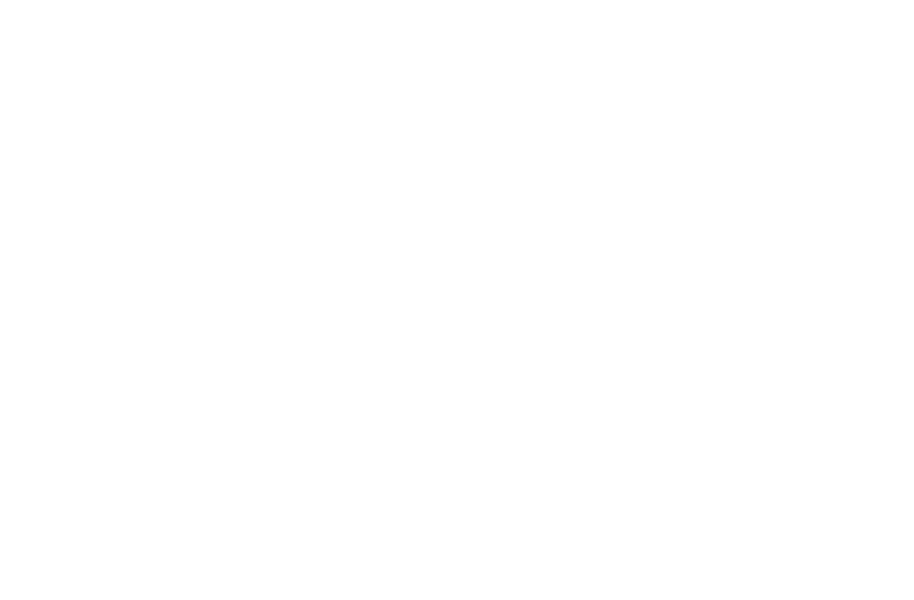 Customized Insurance Solutions | Lockton Affinity